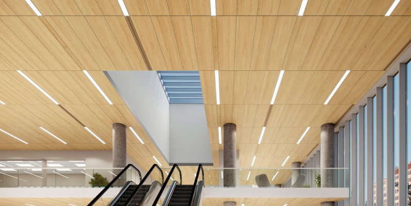 Large Format Acoustical Wood-Look Ceiling Panels | Armstrong Ceiling ...