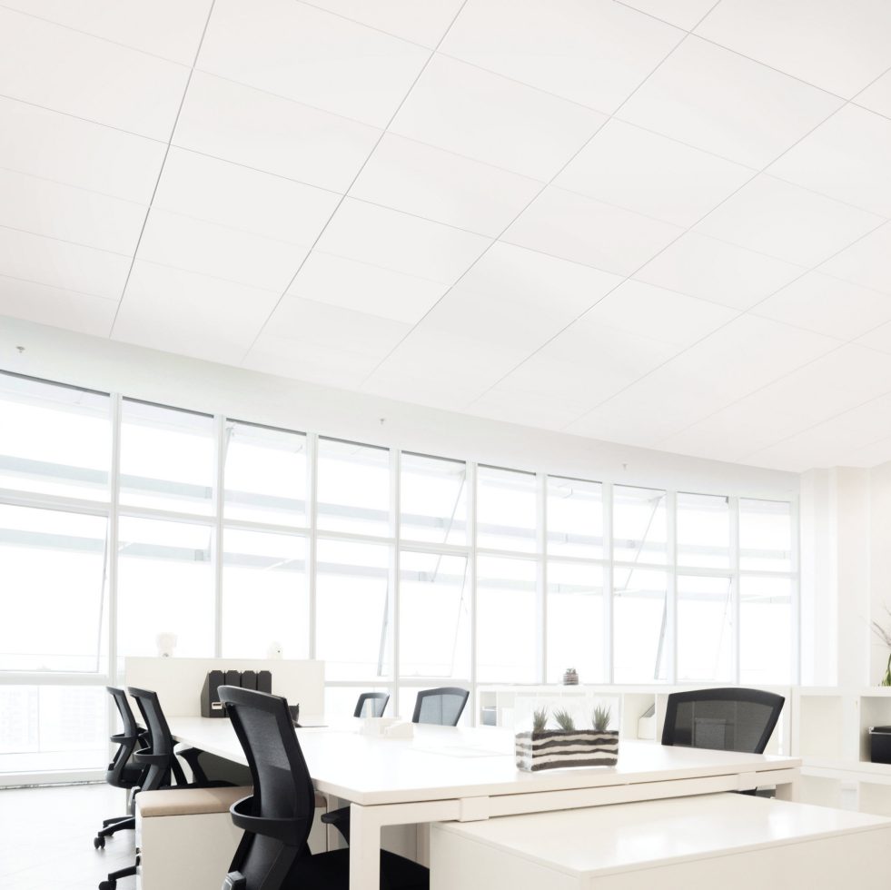 CALLA Lines | Armstrong Ceiling Solutions – Commercial