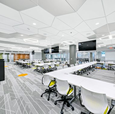 OPTIMA PB Shapes for DESIGNFLEX - 100218 | Armstrong Ceiling Solutions ...