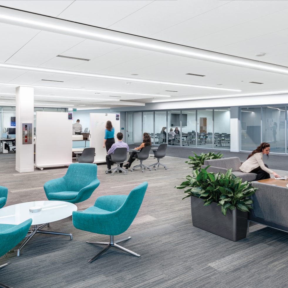OPTIMA Lines | Armstrong Ceiling Solutions – Commercial