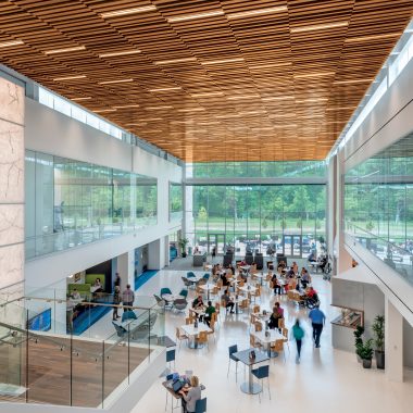 Wood Slat Ceiling Linear Lighting | Shelly Lighting